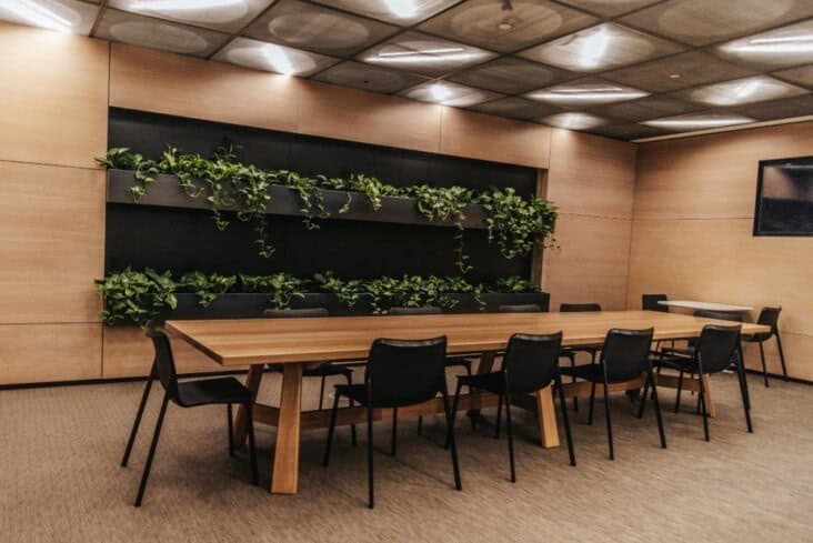 Indoor Greenery Inspiration - Gallery of Office Transformations