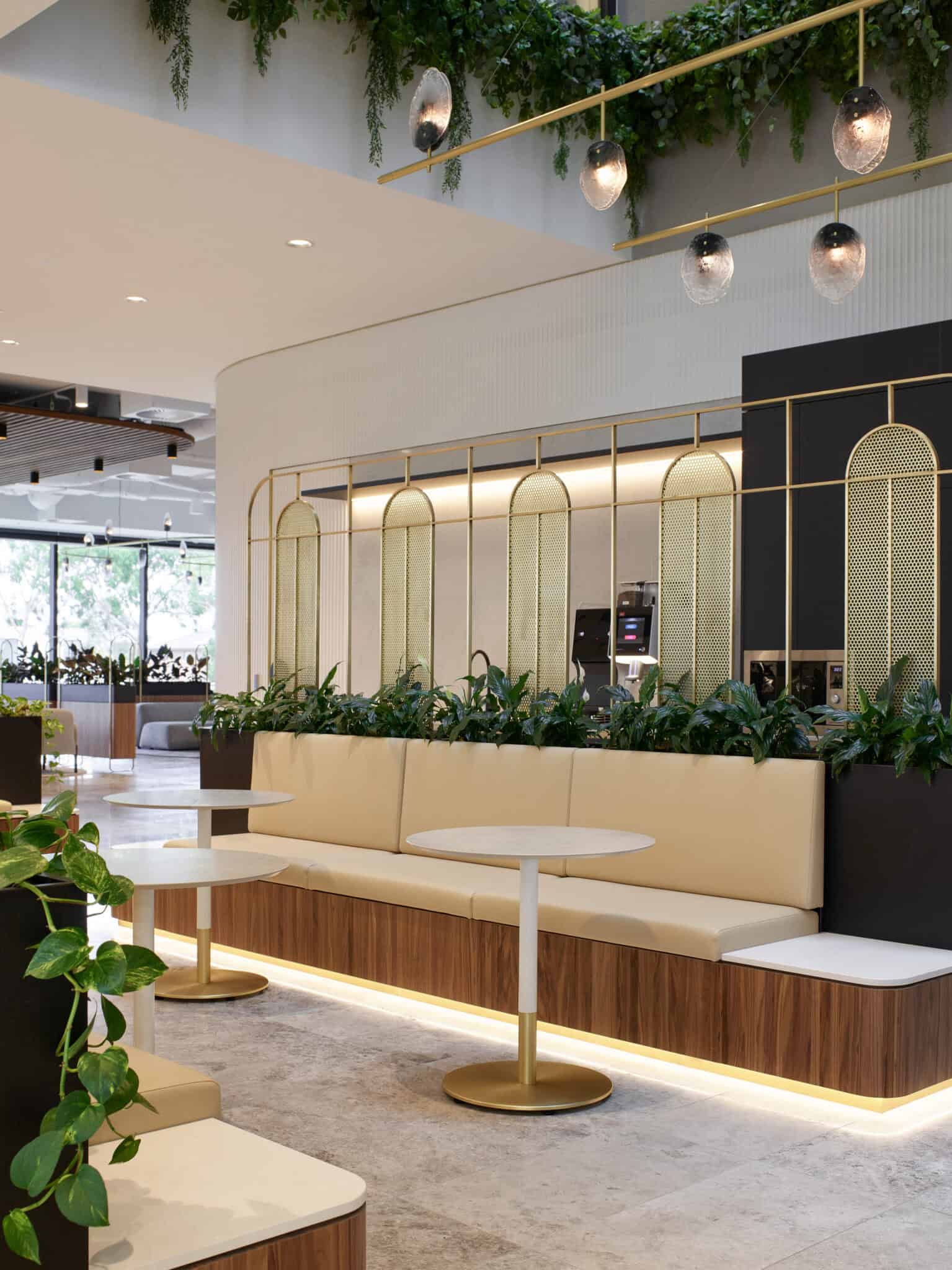 Indoor Plant Hire Melbourne, VIC - Contact Frenchams