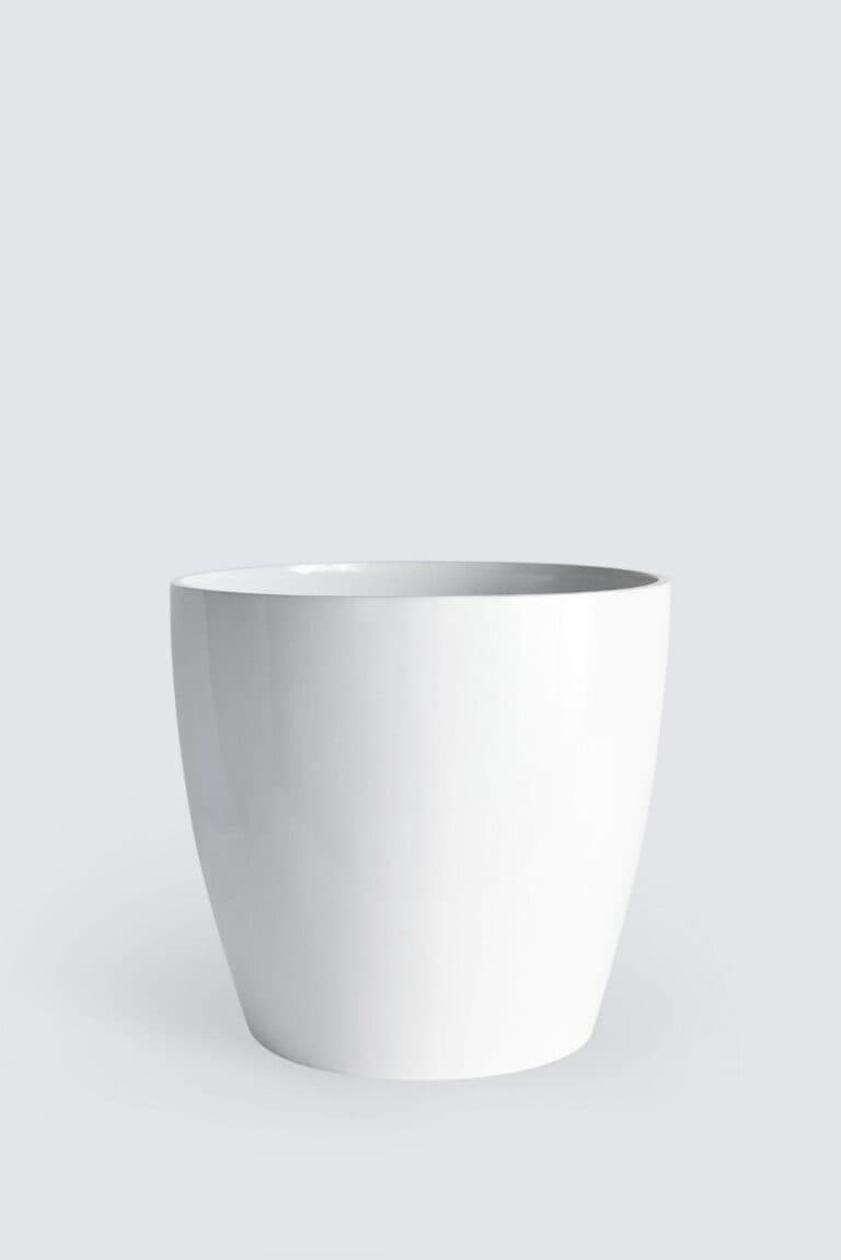 Unique Indoor Floor Planter Pots for Hire - Frenchams