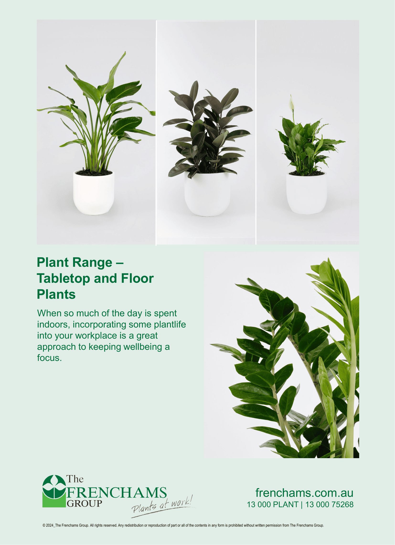 Indoor Plant Design Resources for Designers - Frenchams