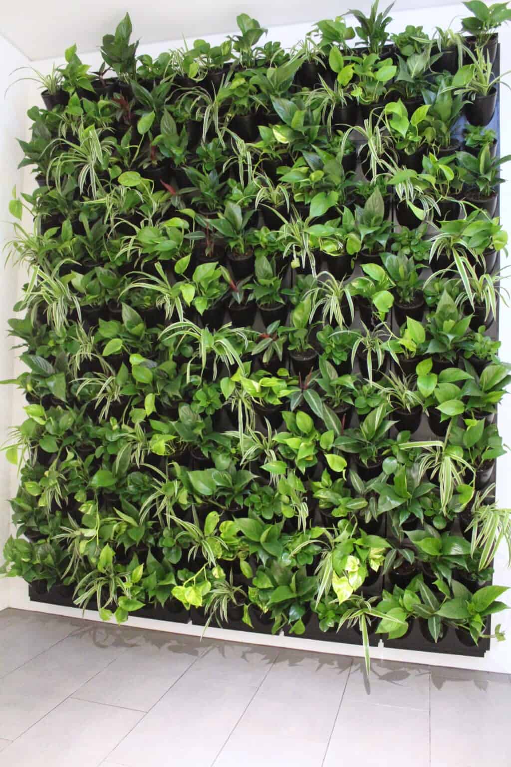 Office Grid Frame Green Wall Systems - Frenchams
