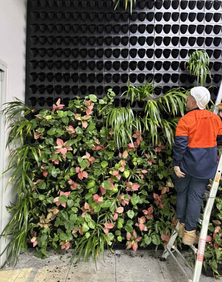 Creative Green Wall Transformation Projects - Frenchams
