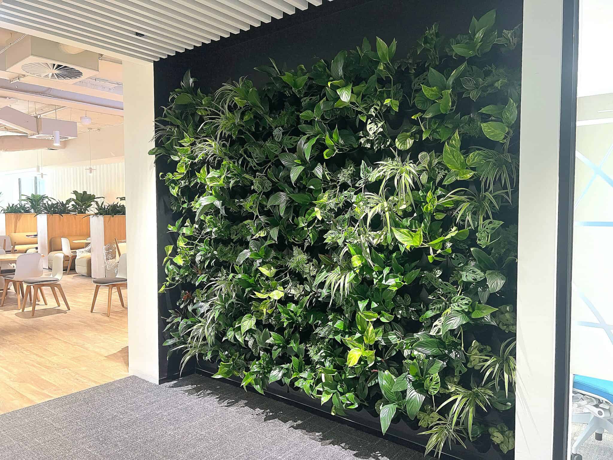 Office Grid Frame Green Wall Systems - Frenchams
