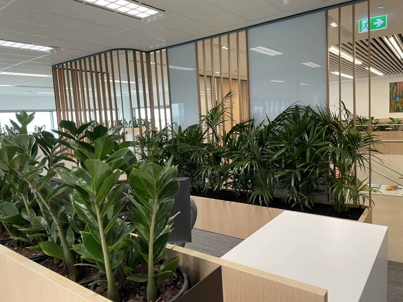 Indoor Plant Hire Melbourne, VIC - Contact Frenchams