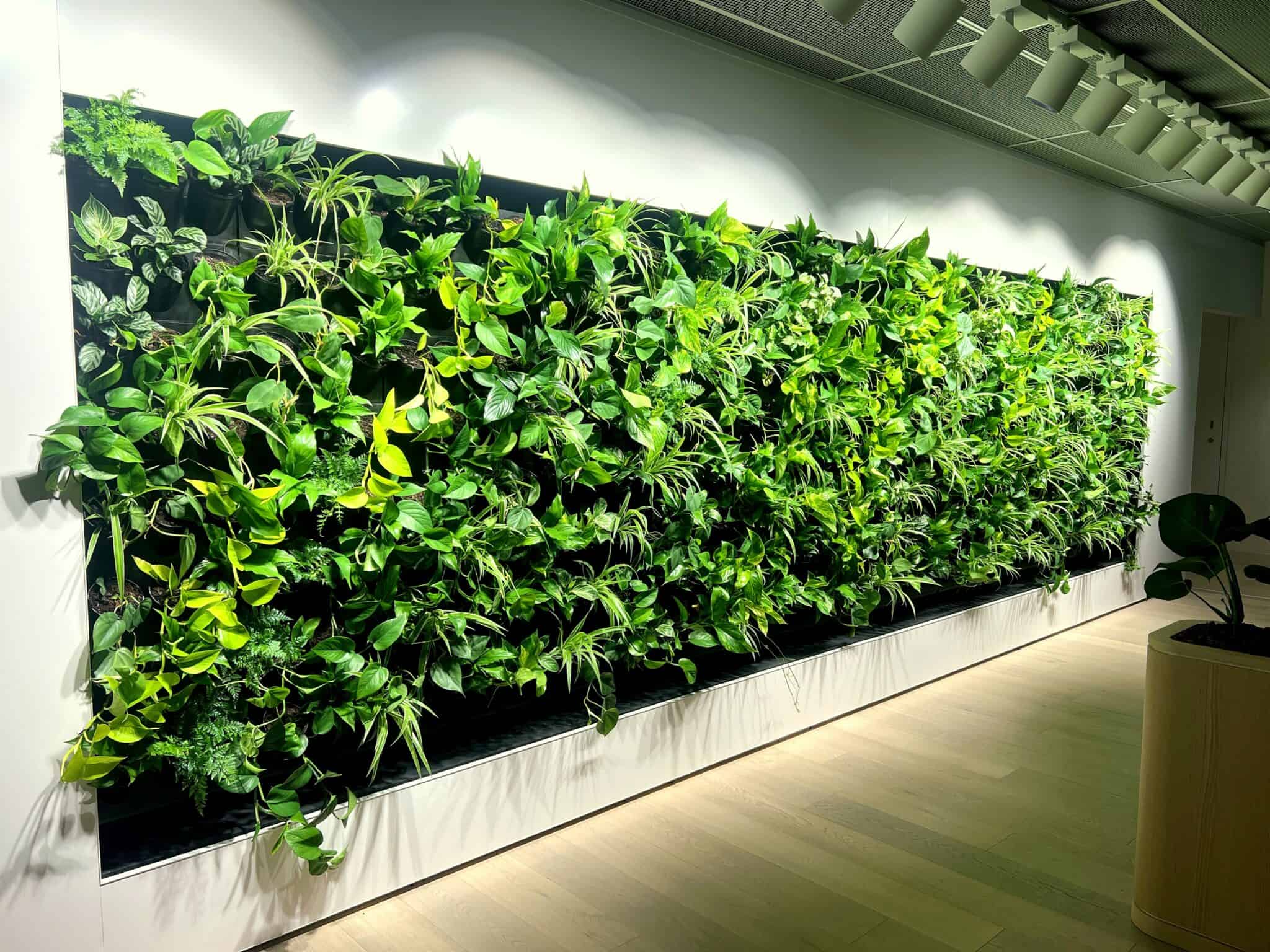 Office Grid Frame Green Wall Systems - Frenchams