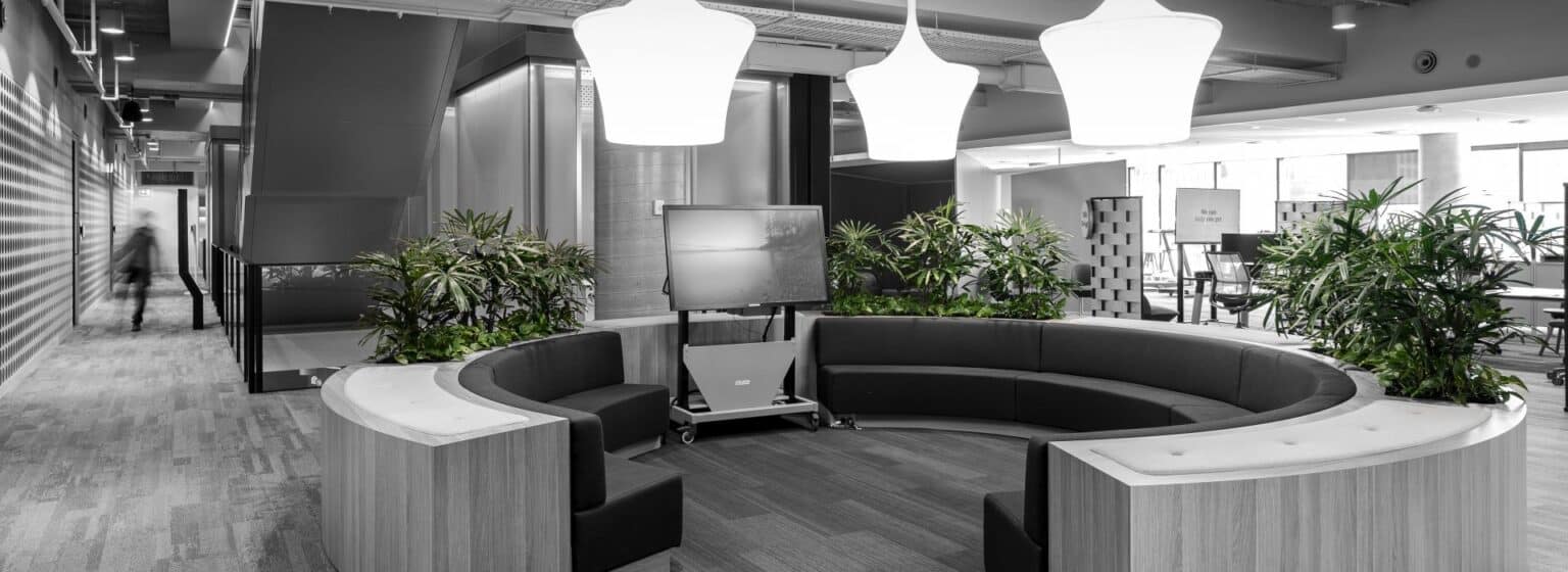 Frenchams - Indoor Plant Hire Sydney, Melbourne, Brisbane & Perth
