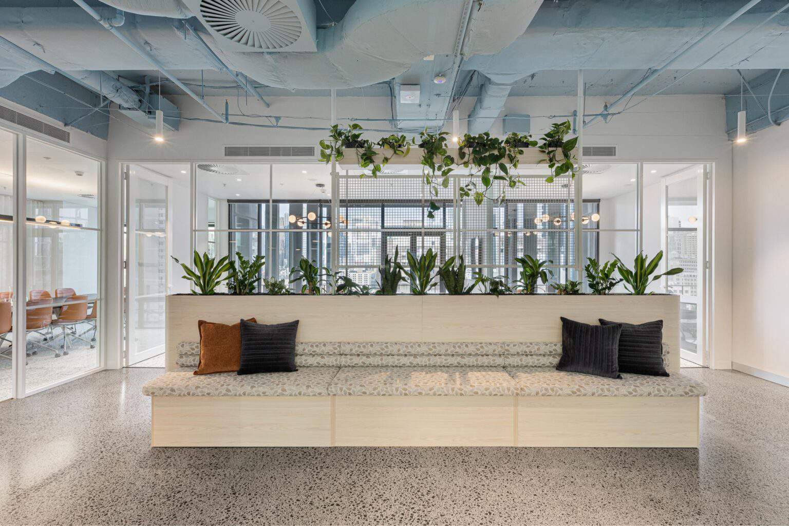 Indoor Office Planters for Hire - Bring Nature Indoors