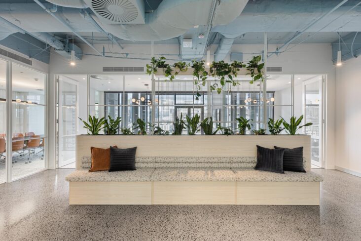 Indoor Office Planters for Hire - Bring Nature Indoors