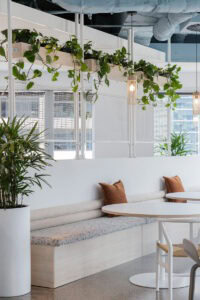 Indoor Office Planters for Hire - Bring Nature Indoors