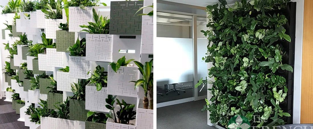 Boost Your Agency's Creative Image with Indoor Plants