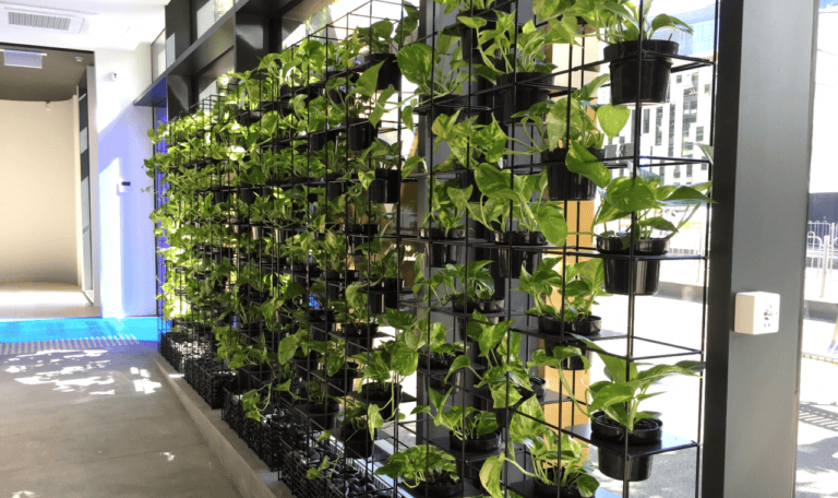 Office Grid Frame Green Wall Systems - Frenchams