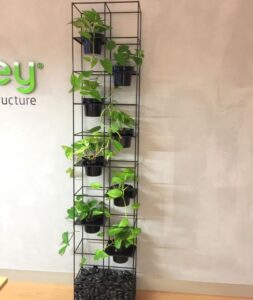 Grid Column Green Wall - Frenchams