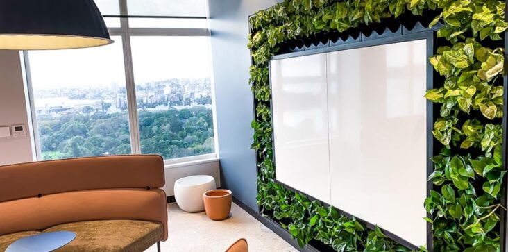 Indoor Office Green Walls for Hire - Frenchams