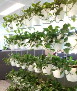 Cable Pot System - Frenchams