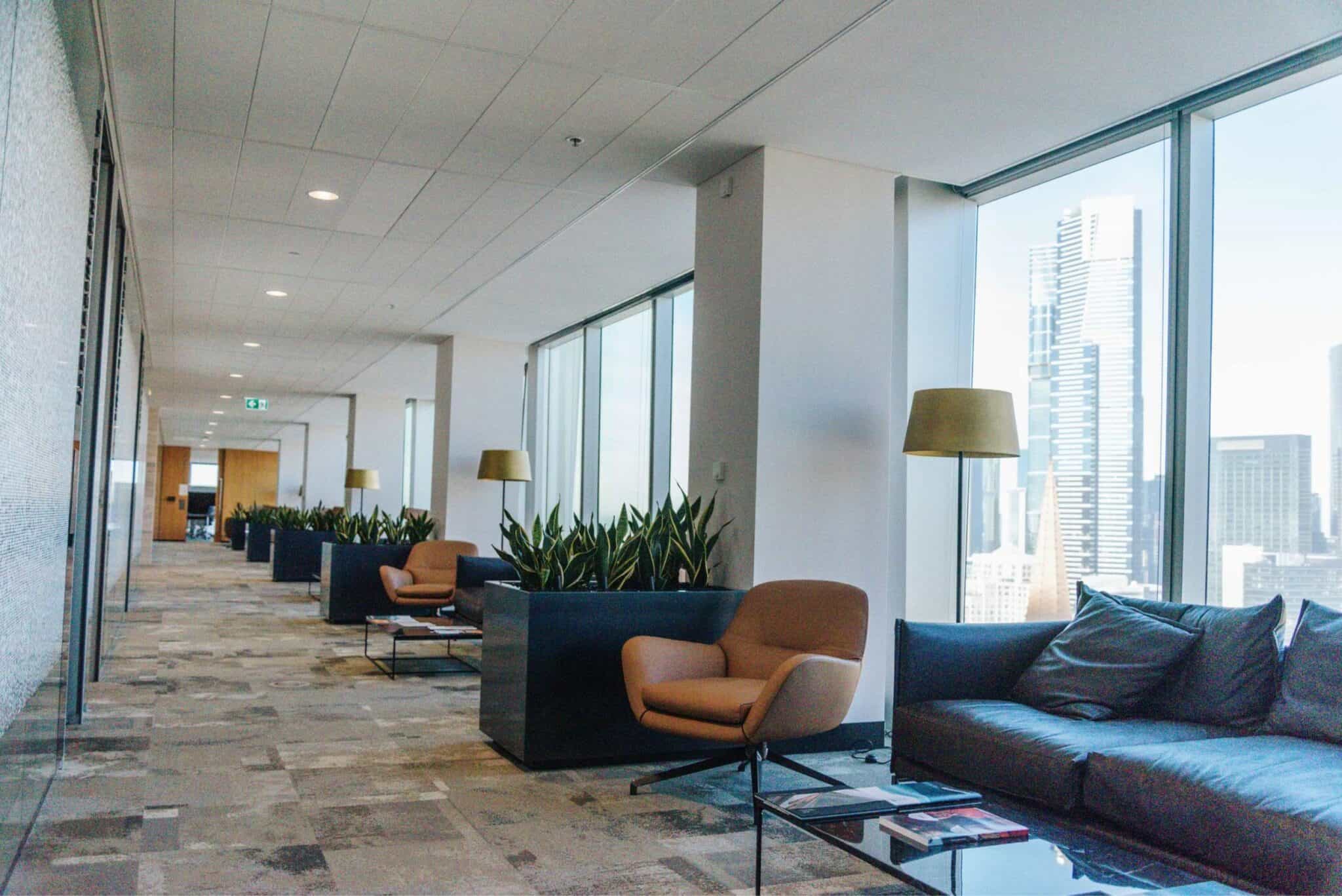 Office Indoor Plant Hire Perth, Western Australia | Frenchams