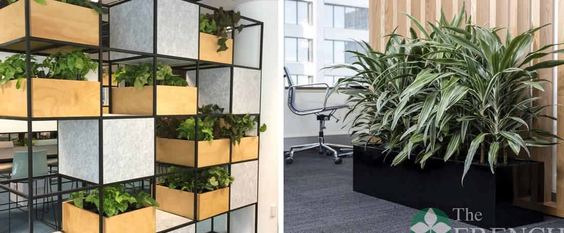 The Science of Indoor Plants - Frenchams